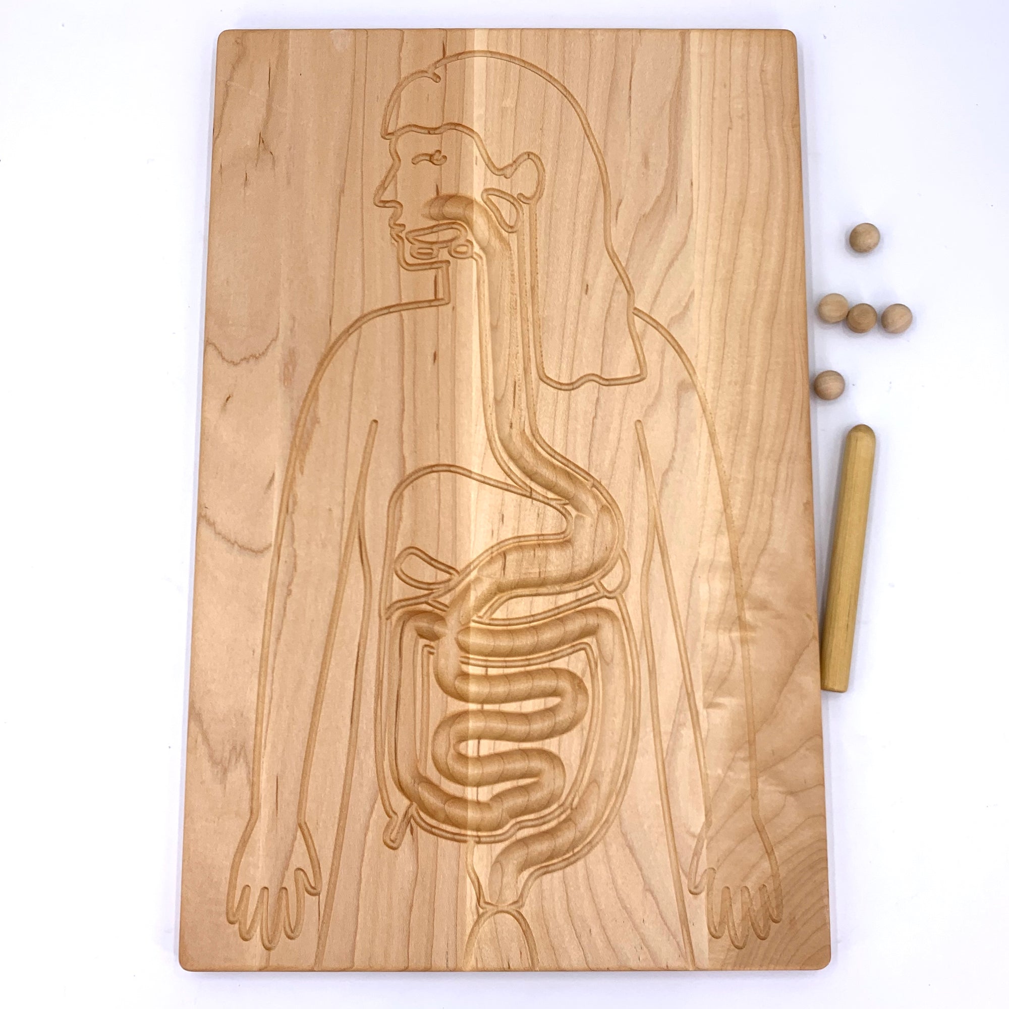 Reversible Circulatory/Digestive Board – Treasures From Jennifer