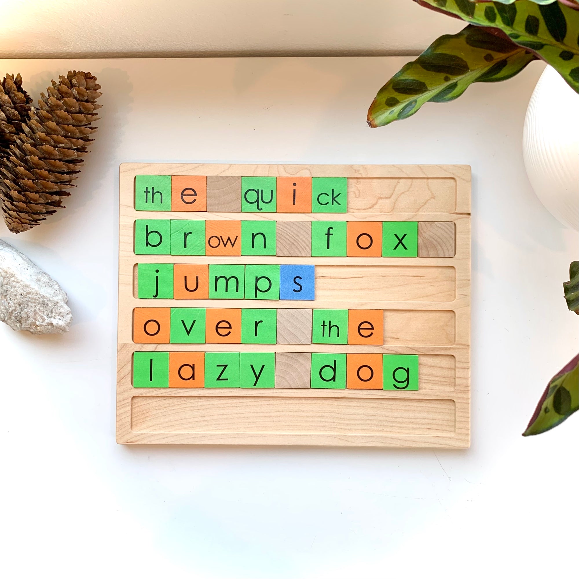 Square Tiles - Multiple Rows Tray – Treasures From Jennifer